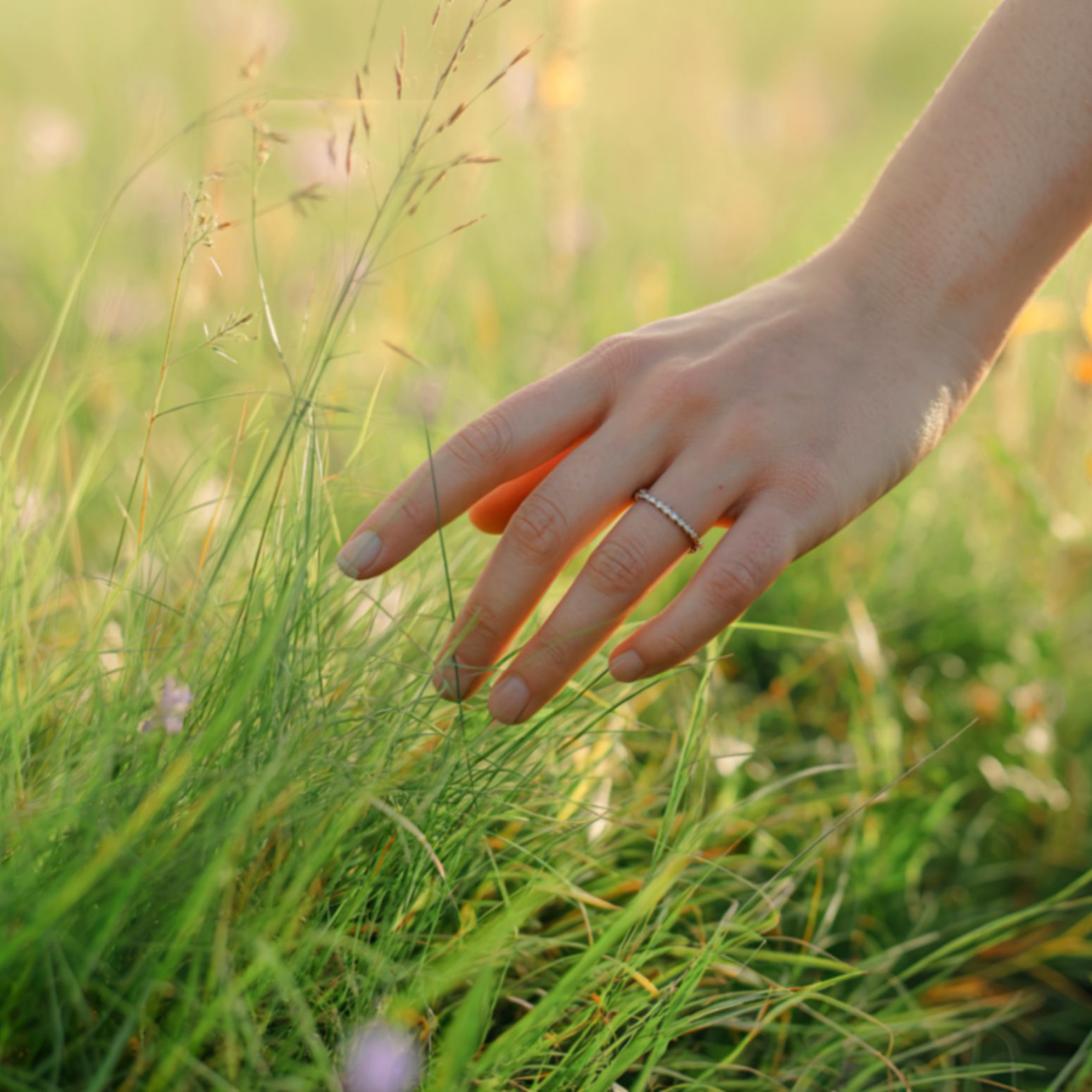 12 Characteristics of a Simple Person to Emulate for More Joy | Amazing ...